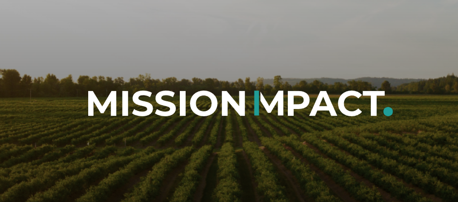 Mission Impact | Divine Word Missionaries. In Action.